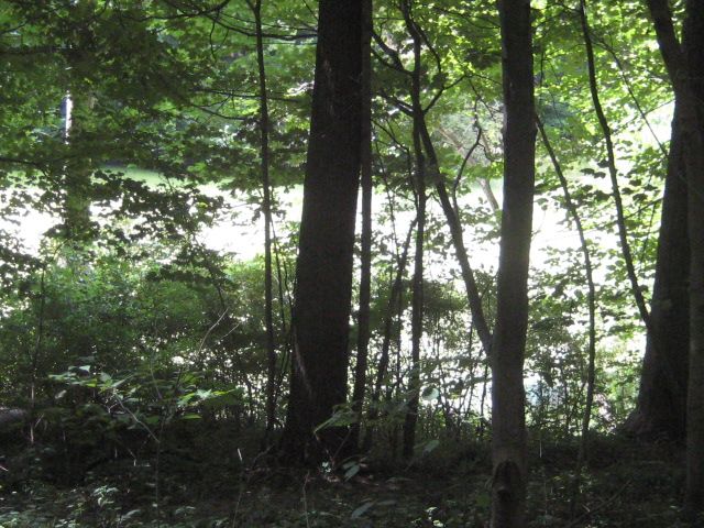 Locations Hub - Camp Cullom