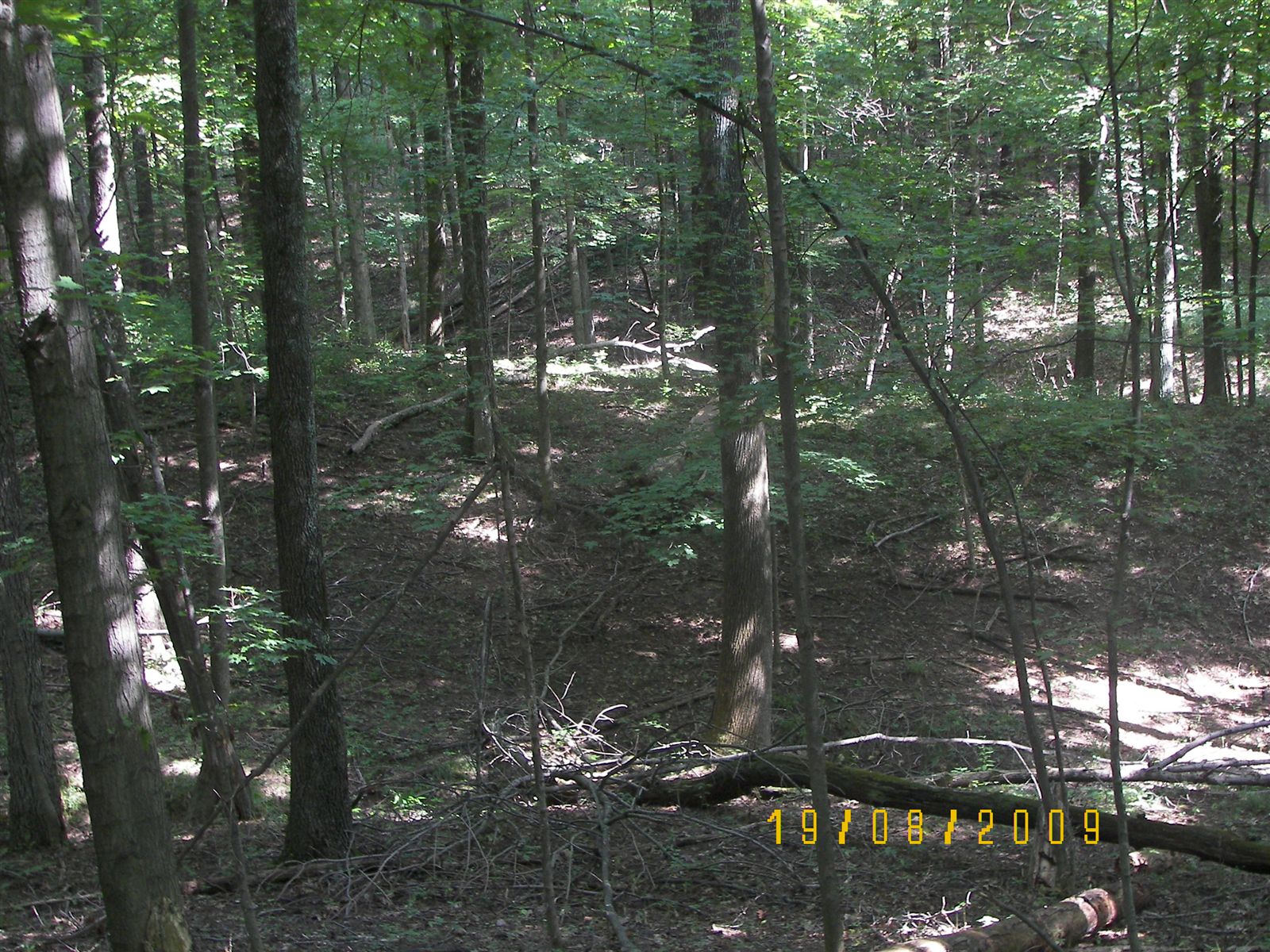 Locations Hub - Two Pistols Ranch