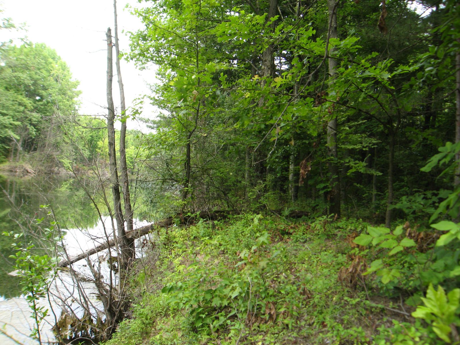 Locations Hub - Fowler Park Pioneer Village