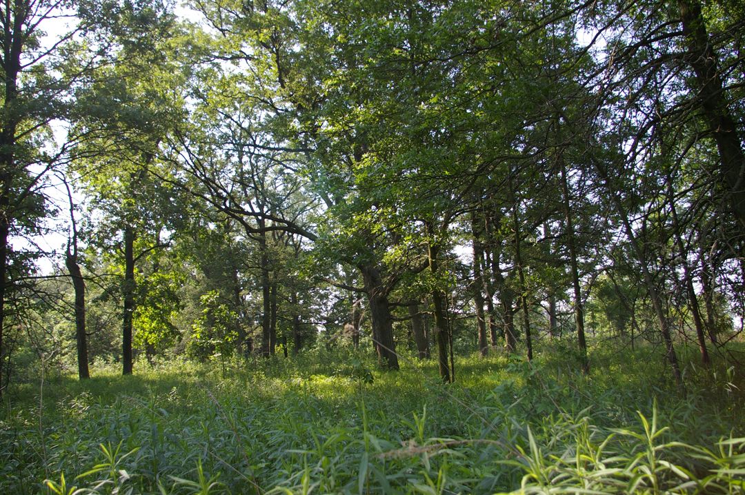 Locations Hub - Spinn Prairie Nature Preserve