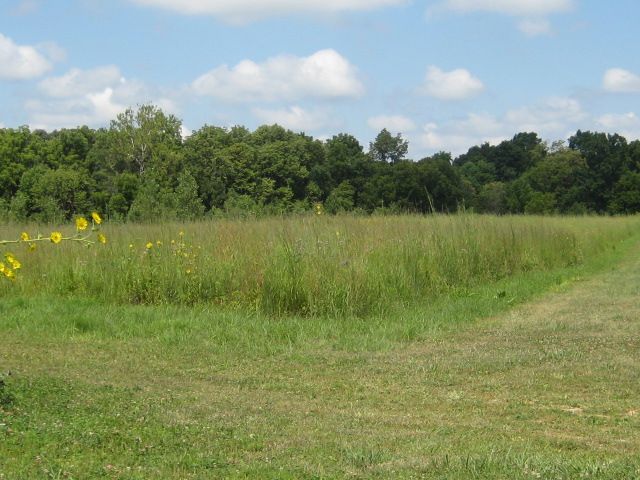 Locations Hub - Camp Cullom